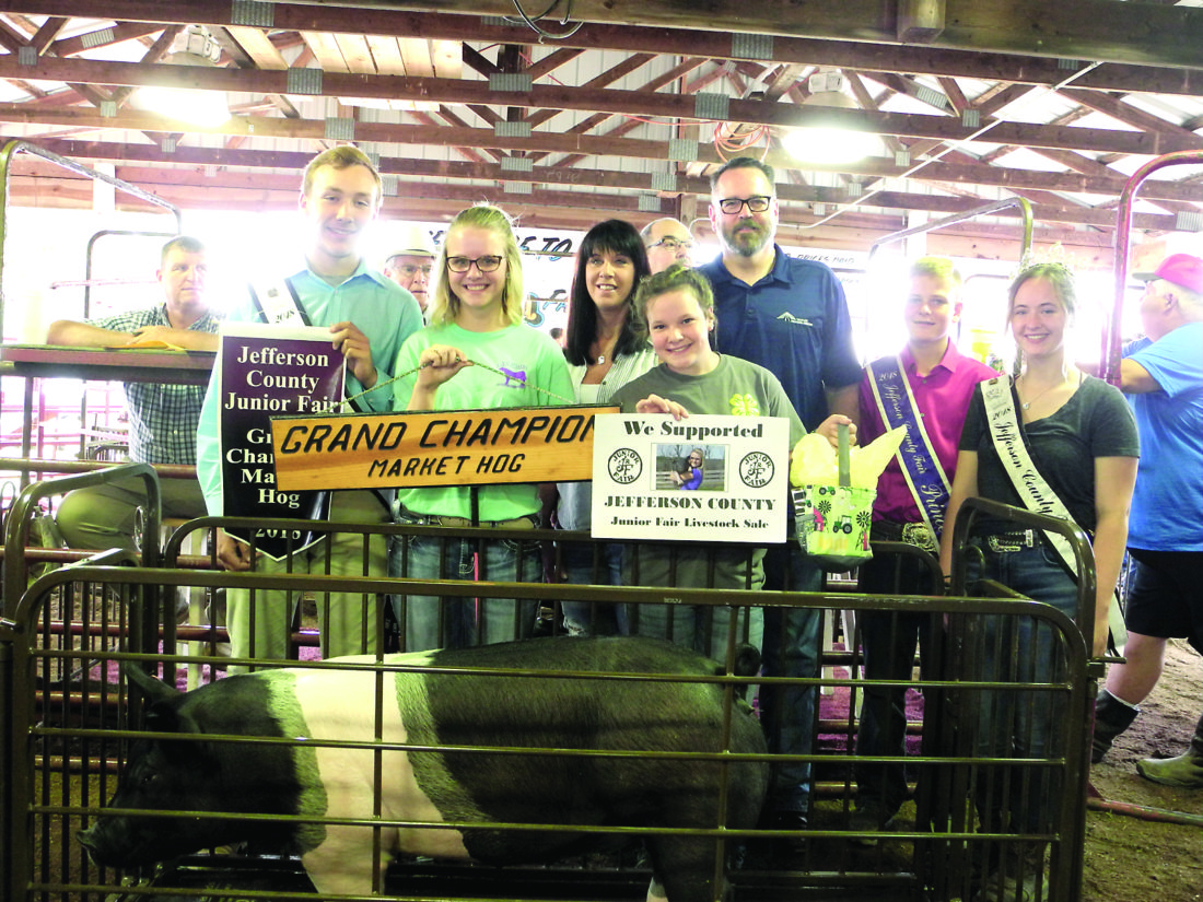 Livestock sale among fair highlights | News, Sports, Jobs - The Herald Star